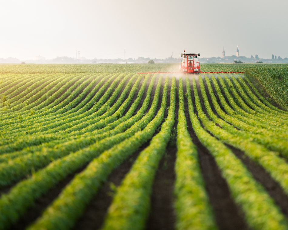 International Fund for Agricultural Development (IFAD) | MOPAN